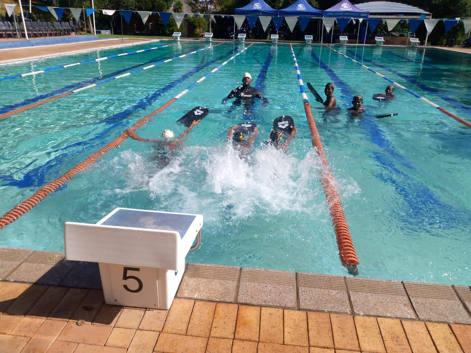 Alexandra Youth Swim Academy – Aysa