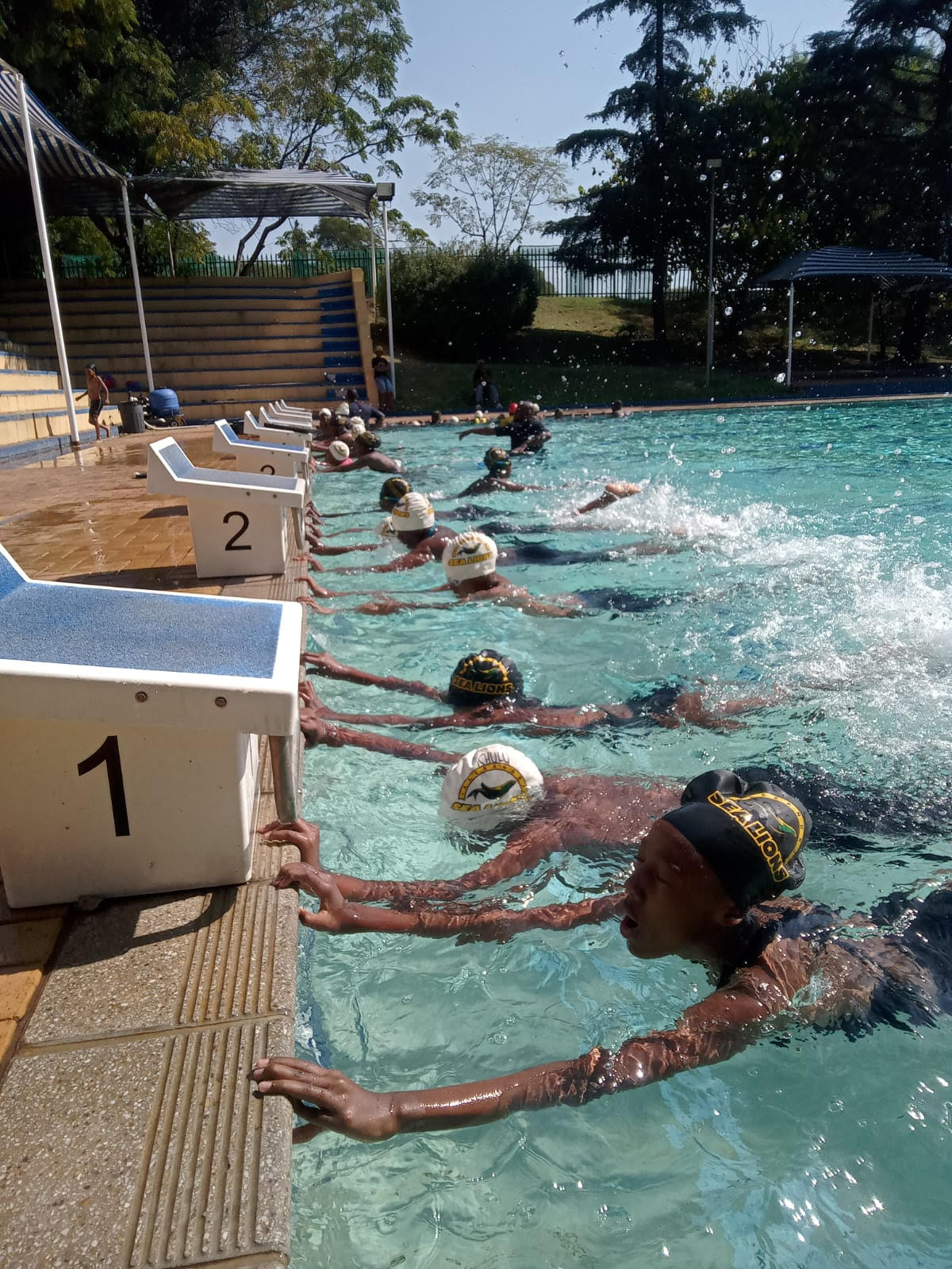 Alexandra Youth Swim Academy – Aysa